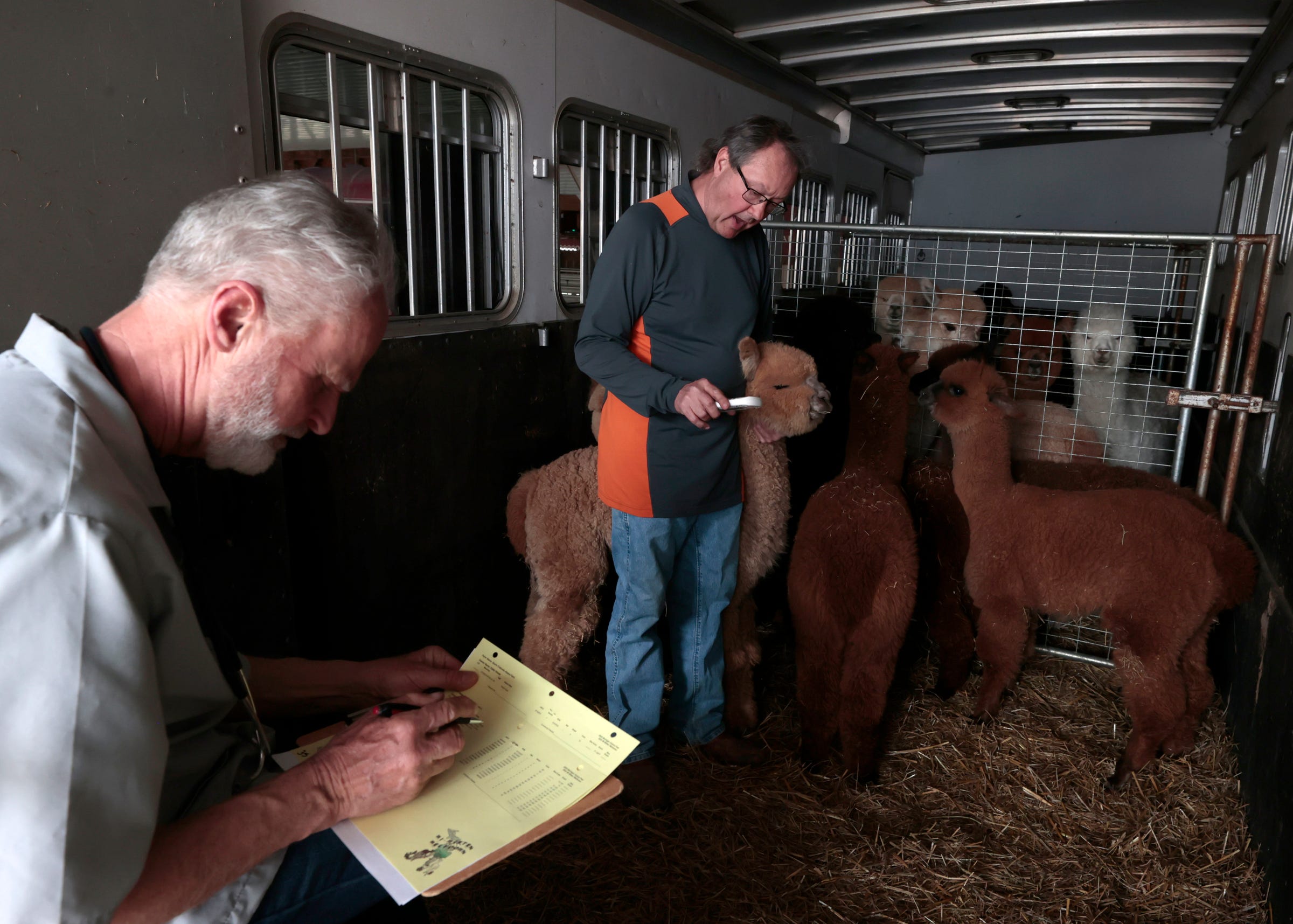 Michigan Alpaca Fest hosts 25th competition at Allegan Co. Fairgrounds