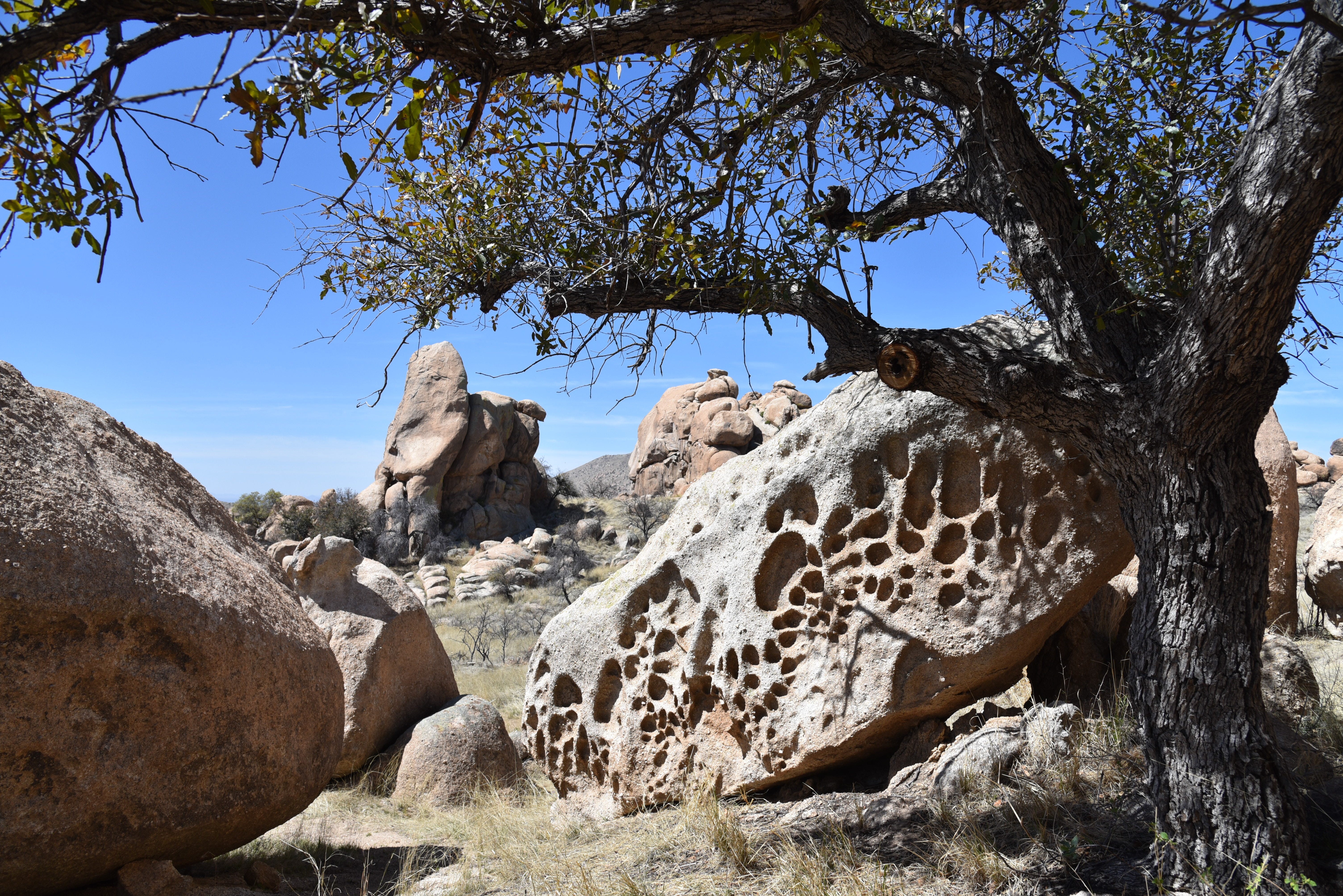 New Texas Canyon hiking trails at the Amerind Museum in Arizona