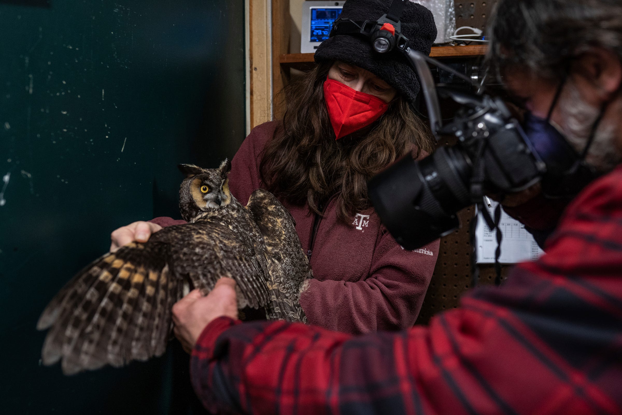 U.P. researchers work all night long capturing owls in nets