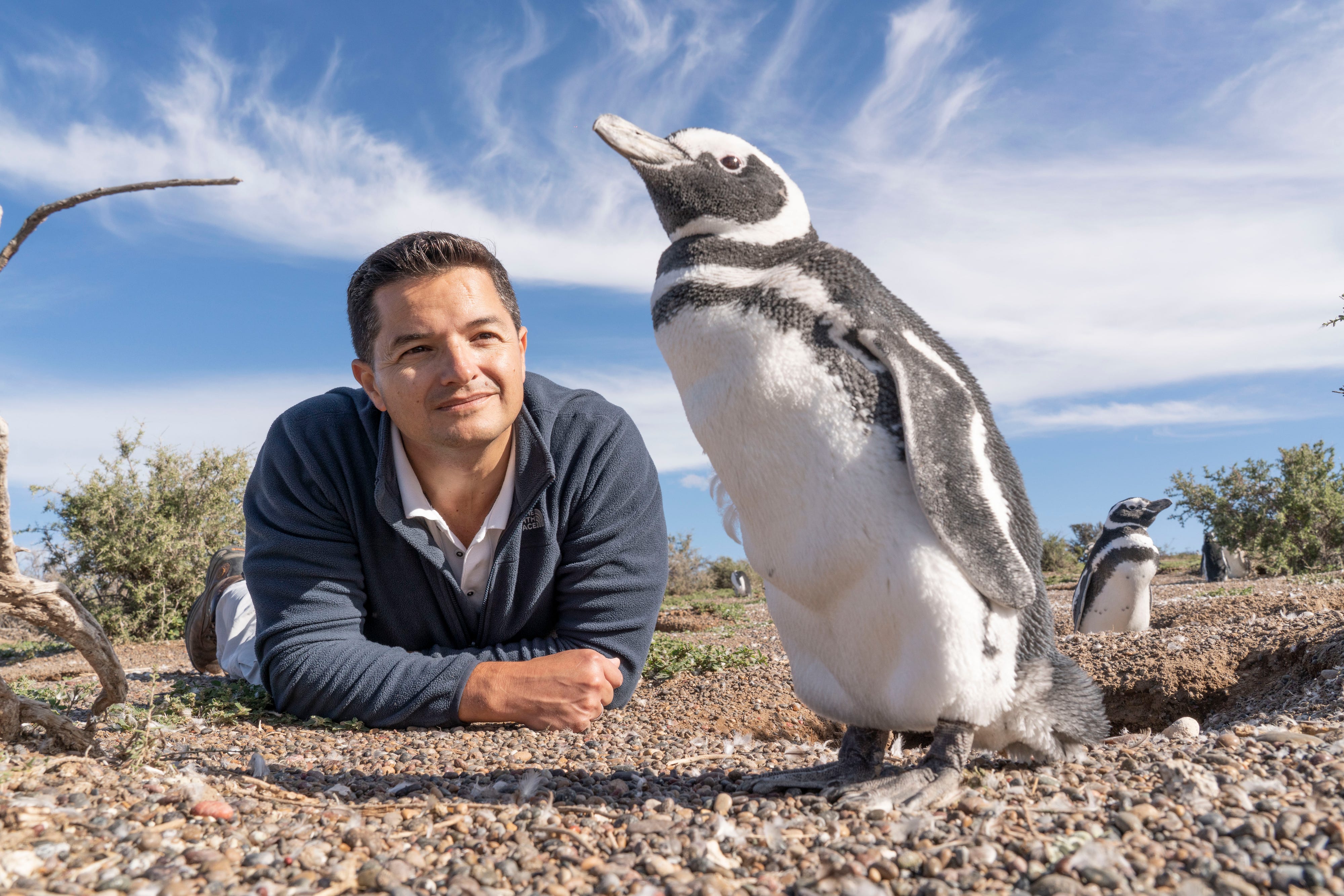 Indianapolis Prize winner protects penguins in Argentina