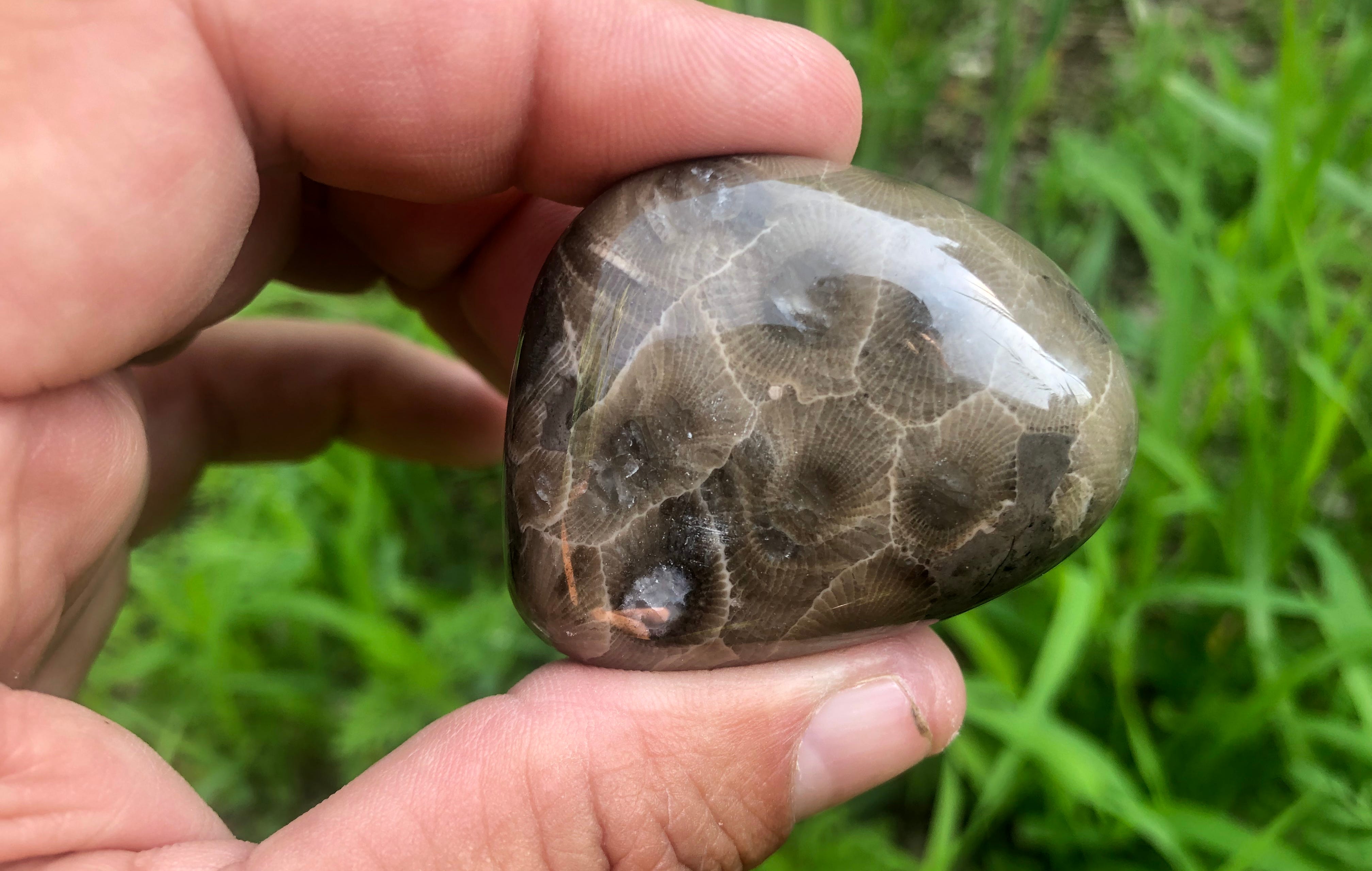 Not just any rock: Petoskey stones big business for jewelers
