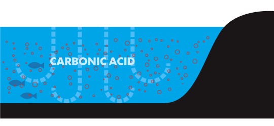 How CO2 emissions change ocean chemistry